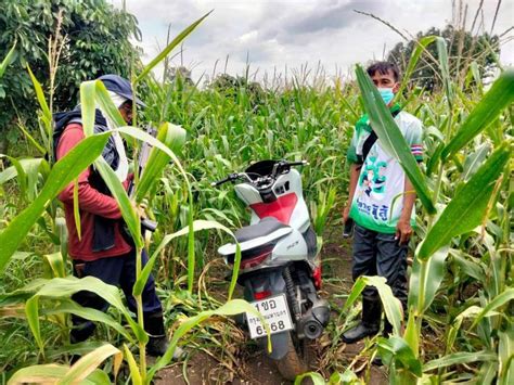 ម៉ូតូស៊េរីទំនើបចំនួន៤គ្រឿងត្រូវសមត្ថកិច្ចរកឃើញក្នុងចម្ការពោតដែលក្រុមចោរបម្រុងបញ្ជូនមកកម្ពុជា