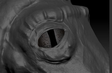 Kraken Visual Elixir