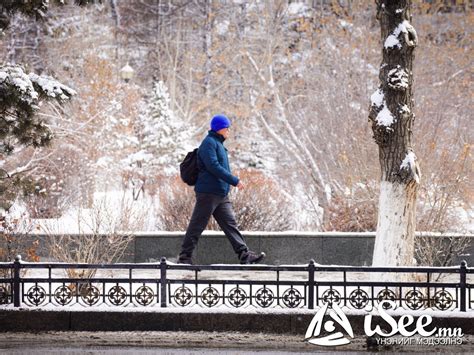 Зам талбайн цэвэрлэгээ давс бодис цацах ажил үргэлжилж байна Isee Mn