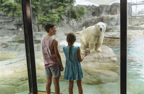 골드코스트 씨월드® 1일 입장권