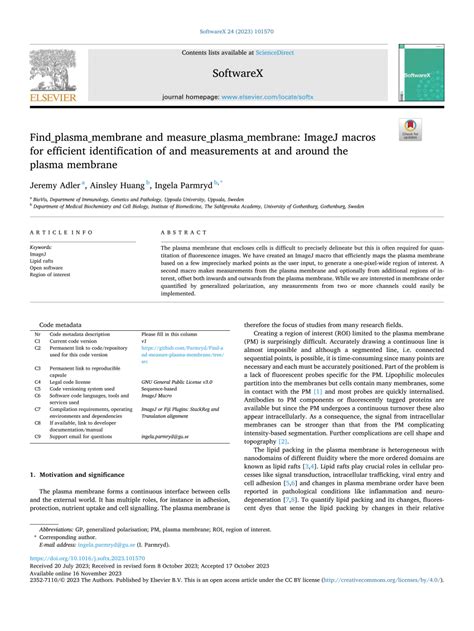 Pdf Findplasmamembrane And Measureplasmamembrane Imagej Macros For Efficient