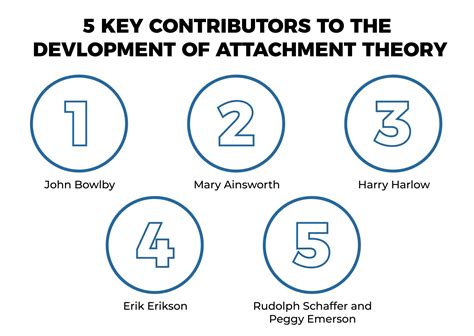 Understanding Attachment Theory Key Insights For Effective Coaching
