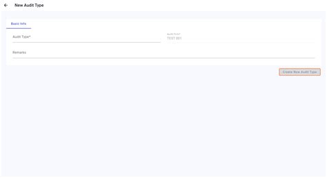 Audit Type