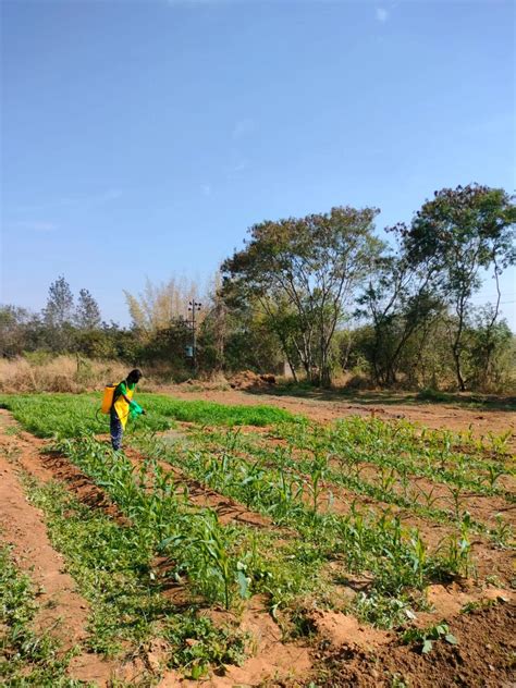 Jayashree Nayak On Linkedin Crop