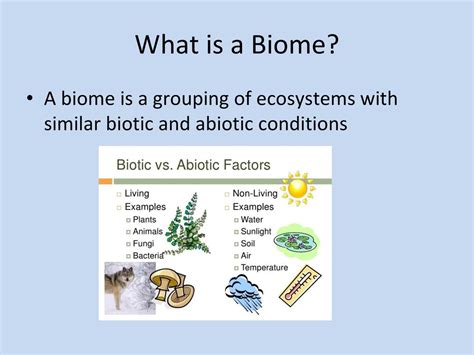 Biome Examples