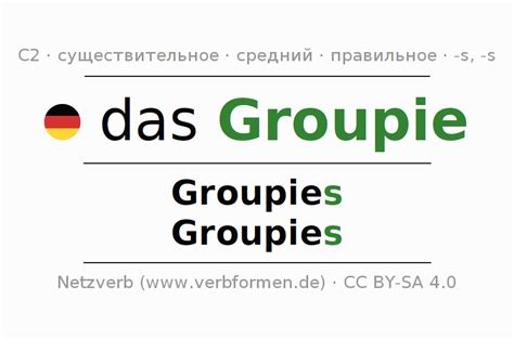 Cклонение Groupie Все формы множественное число правила речевой вывод Netzverb Словарь