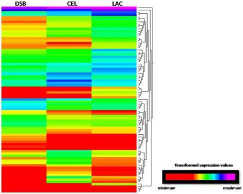 K Means Clustering Of Differentially Expressed Genes Identified As
