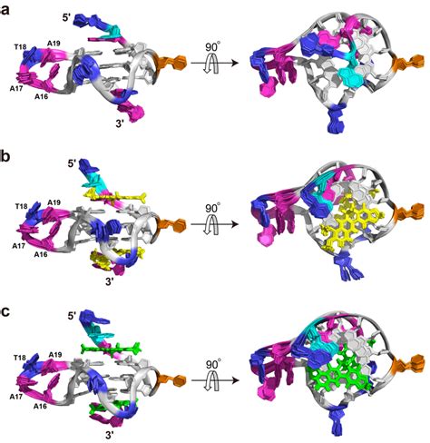 Targeting Kras Promoter G Quadruplex For Kras Oncogene Repression Structural Basis Of Small