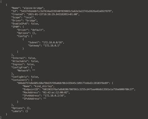 The Default Network Bridge Is Missing Gateway When Docker Installed In Virtual Machine