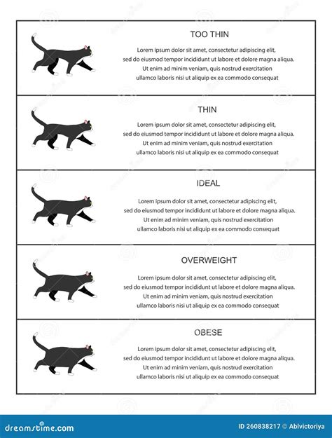 Cat Weight Chart Infographic Table Kitties Profiles With Normal And Abnormal Body Condition
