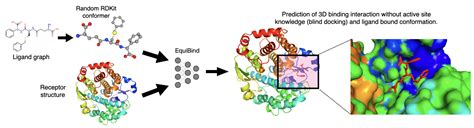 Diffdock Diffusion Steps Twists And Turns For Molecular Docking