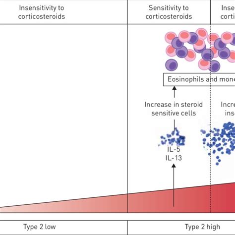 Corticosteroid Comparison Chart Download Scientific Diagram