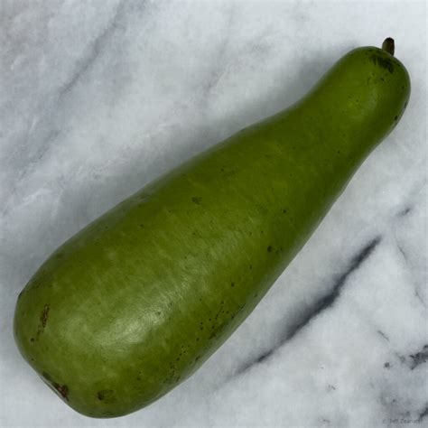 Spaghetti Cucuzza Recipe Zous Chef