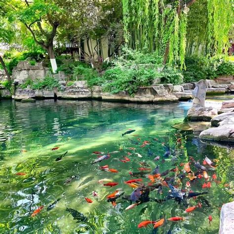 政府关系维护需要怎么做 如何找到政府关系 政策 专业 沟通