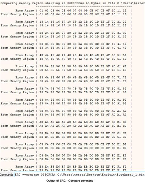 The Basics Of Exploit Development 3 Egg Hunters Coalfire