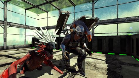 Hatching And Raising Dragons Rdragons