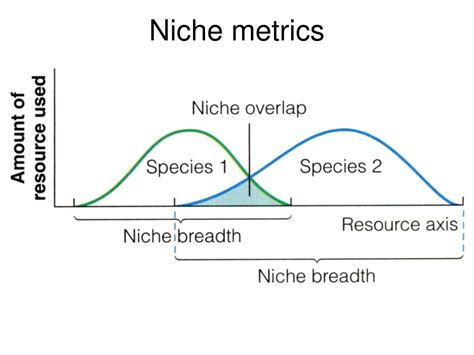 Ppt Our Ecological Footprint 1 6 Powerpoint Presentation Free