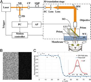 Diagram Of The OR PAM Set Up And The Lateral Resolution Of The OR PAM Download Scientific