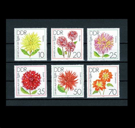 Germany Ddr Postage Stamps 1979 Flowers Dahlias At The International
