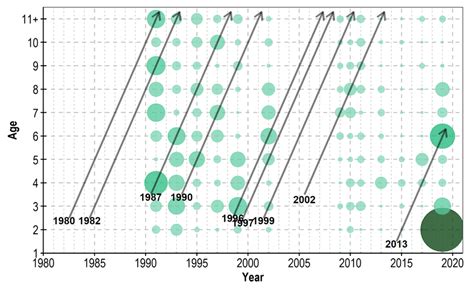 Bubble Plot Of The Spring Spawning Herring Number At Age From The Download Scientific Diagram
