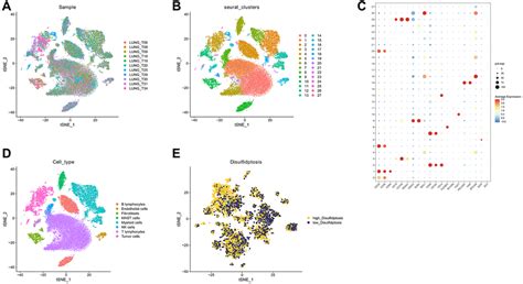 Single Cell Rna Sequencing Ngs Analysis