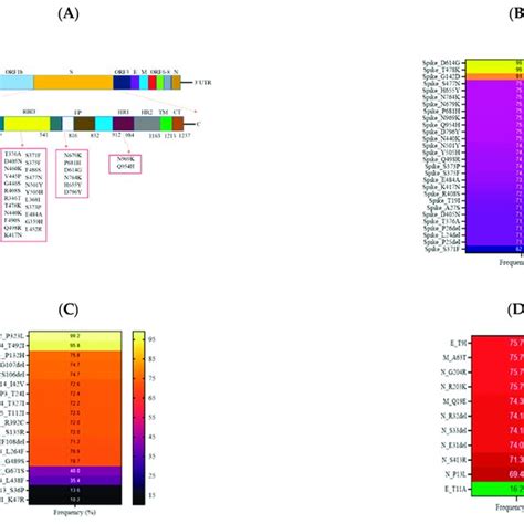 Evolutionary Dynamics Of Sars Cov 2 In Sabah A Map Of Transmission