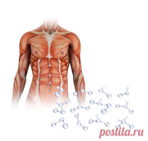 Гиалуроновая кислота для здоровья суставов и кожи Гиалуронаат гиалу ВИТАМИНЫ МИКРОЭЛЕМЕНТЫ