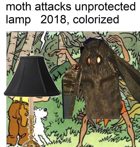 27 Moth Memes That Will Bring You Towards The Light Ebaums World