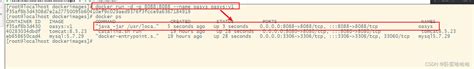 Docker 部署java项目 Csdn博客