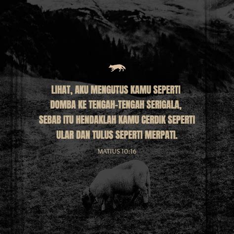 Matius 10 16 ”lihat Aku Mengutus Kamu Seperti Domba Ke Tengah Tengah Serigala Sebab Itu
