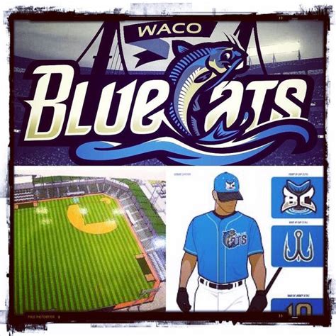 Coming 2019 Bluecat Baseball Bloggers Venturasports Swlbaseball Wacobluecats Events