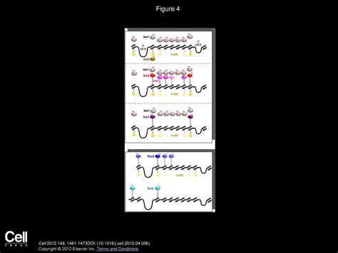 Volume 149 Issue 7 Pages June 2012 Ppt Download