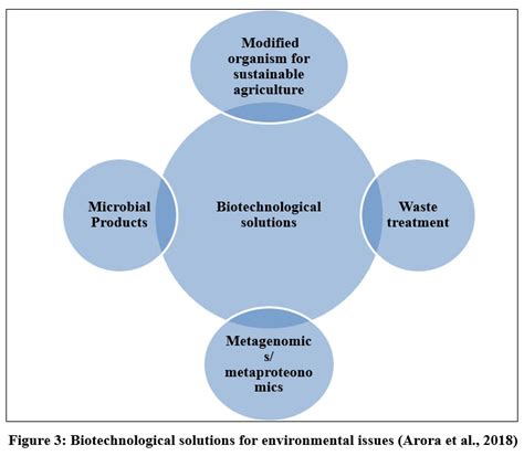 Environmental Issues And Their Possible Solutions For Sustainable