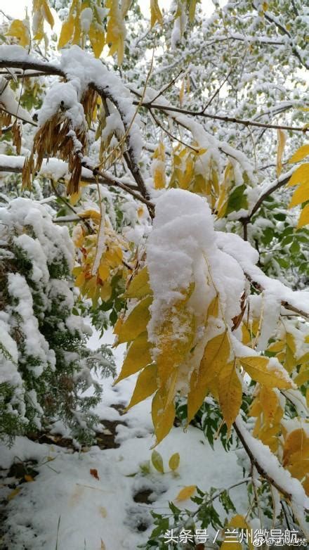 蘭州雪後的校園 每日頭條