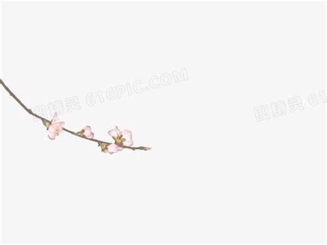 粉色桃花树枝素材图片免费下载 PNG素材 编号vn2ip02ng 图精灵