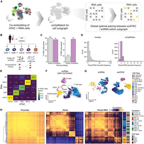 Sparse Knn Based Atac Rna Cell Pairing Allows Optimal Pairing And
