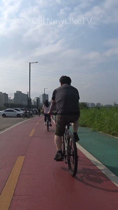 자전거도로에서 곧 자전거 사고칠 꼴불견 주행 패턴 보행로 차단 규제봉도 무용지물 만드는 위험한 질주 회전교차로 통행 방법도 모르는 연속 우회전 시전 꼬라지