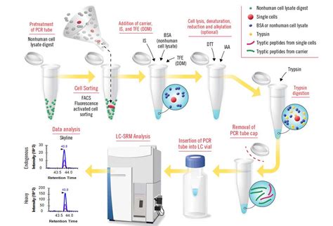 Carrier Assisted One Pot Sample Preparation For Targeted Proteomics Analysis Of Small Numbers Of