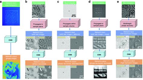 Deep Learning Based Hologram Reconstruction A An End To End Cnn Was