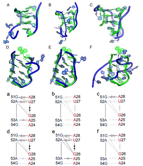 Rna Puzzles Round Iii 3d Rna Structure Prediction Of Five Riboswitches