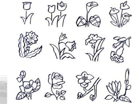 简笔画植物教学ppt 简笔画图片大全 普车都