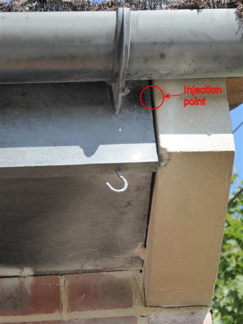 Wasps Infestation BuildHub Org Uk