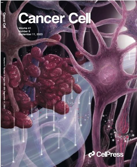 Cancer Cell Cover Image Eurekalert Science News Releases
