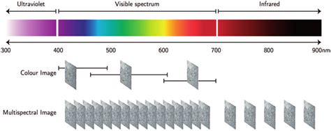 Multispectral Images Are Captured In A Similar Process To Colour Download Scientific Diagram