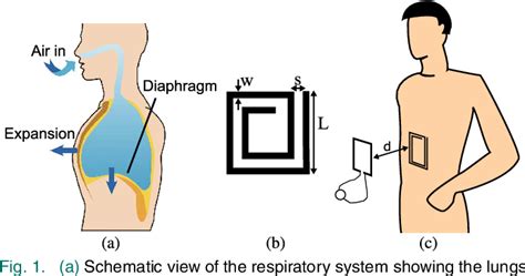 Figure 1 From Wearable Textile Based Sensor Tag For Breath Rate Measurement Semantic Scholar