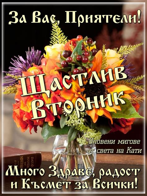 Уловени мигове от света на Кати ~~~ Facebook