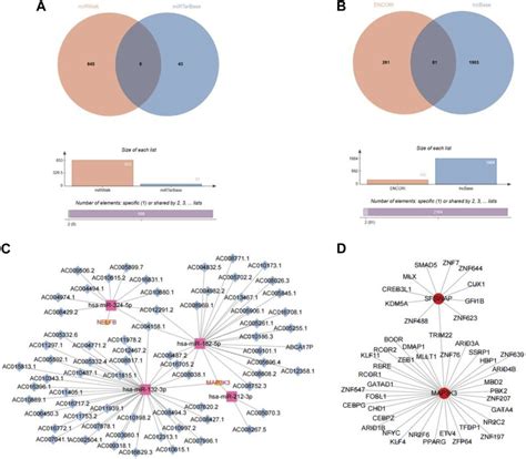 Identification Of Mitophagy Related Biomarkers In Human Osteoporosis Based On A Machine Learning