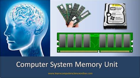 What Is Computer Memory Computer Memory Units Types Hierarchy
