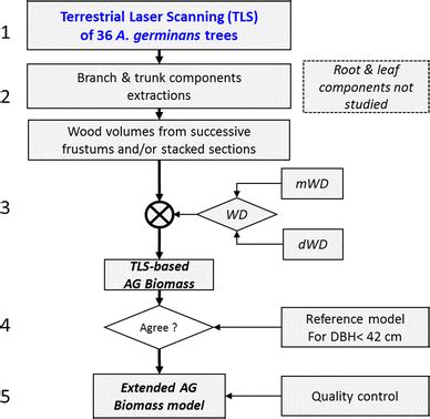 Scheme Of Procedure For TLS Data Acquisition And Processing In Mangrove Download Scientific