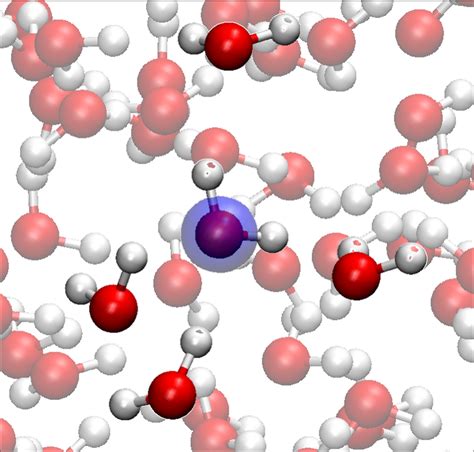Model System For Liquid Water Top Simulation Box With 392 Water Download Scientific Diagram